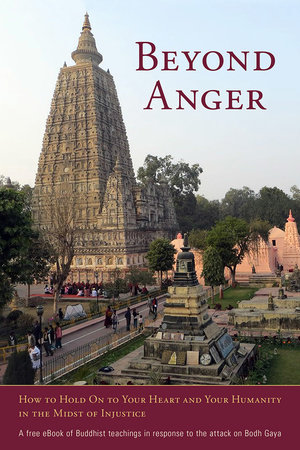 Beyond Anger: 9780834829541 | PenguinRandomHouse.com: Books