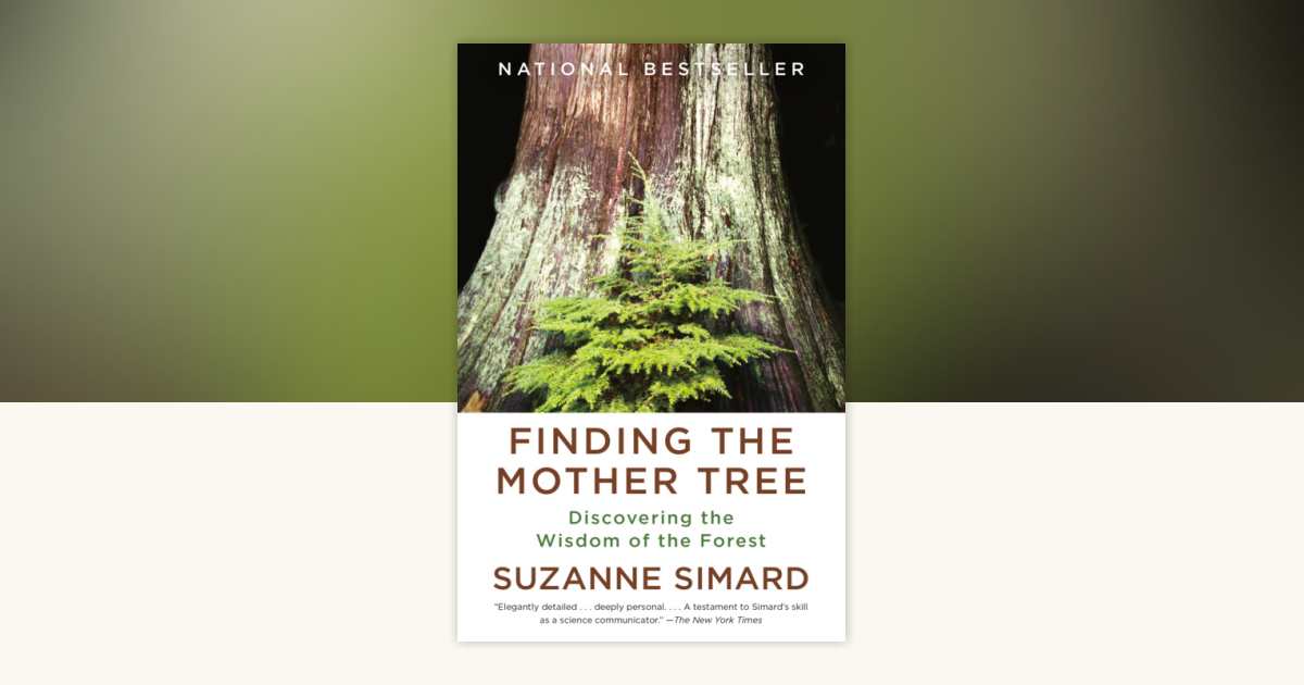 Finding the Mother Tree by Suzanne Simard: 9780525565994 ...