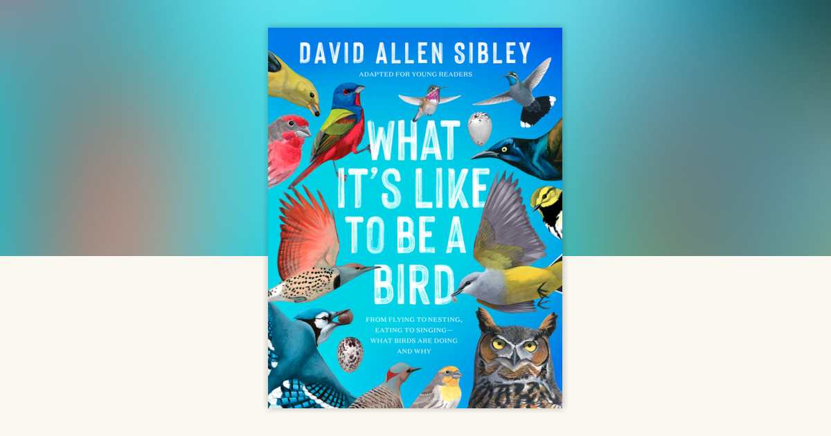 What It's Like to Be a Bird (Adapted for Young Readers) by David Allen ...