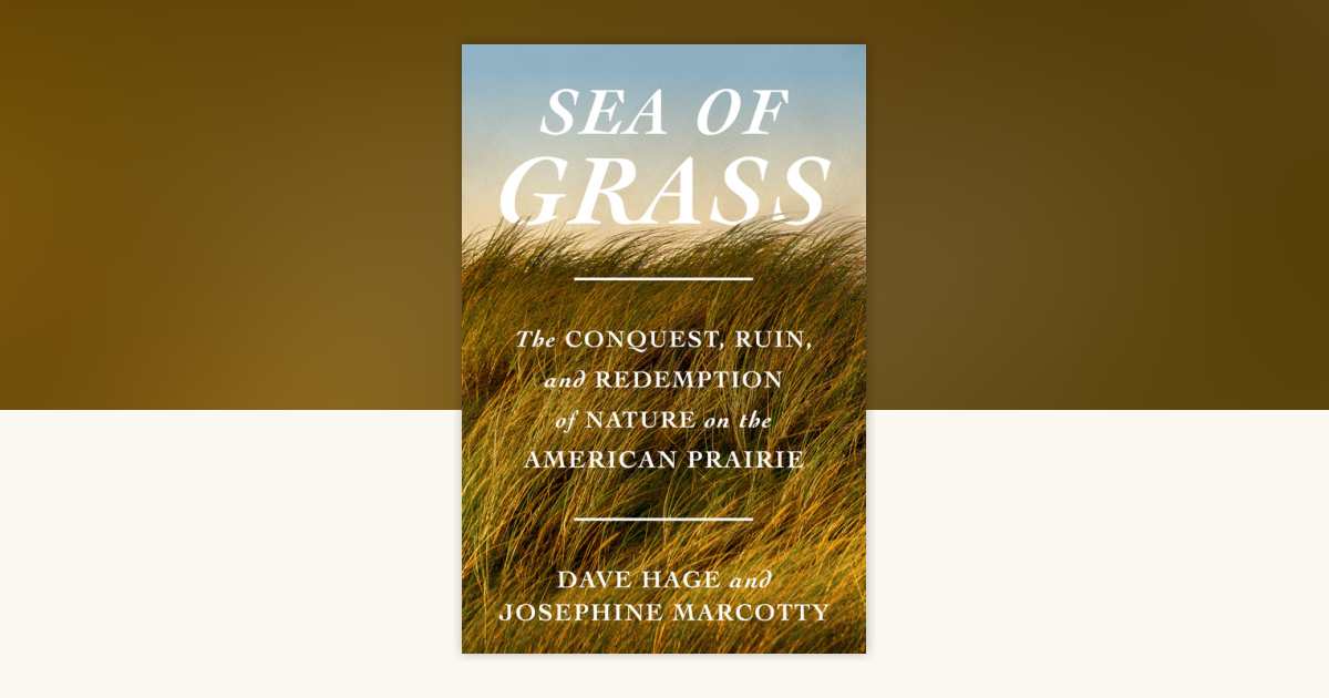 Sea of Grass by Dave Hage, Josephine Marcotty: 9780593447406 ...