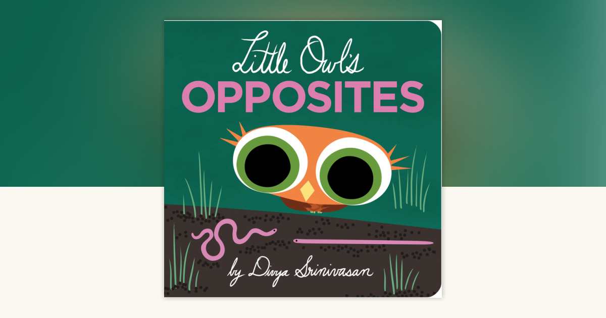 Little Owl's Opposites by Divya Srinivasan: 9780593691168 ...