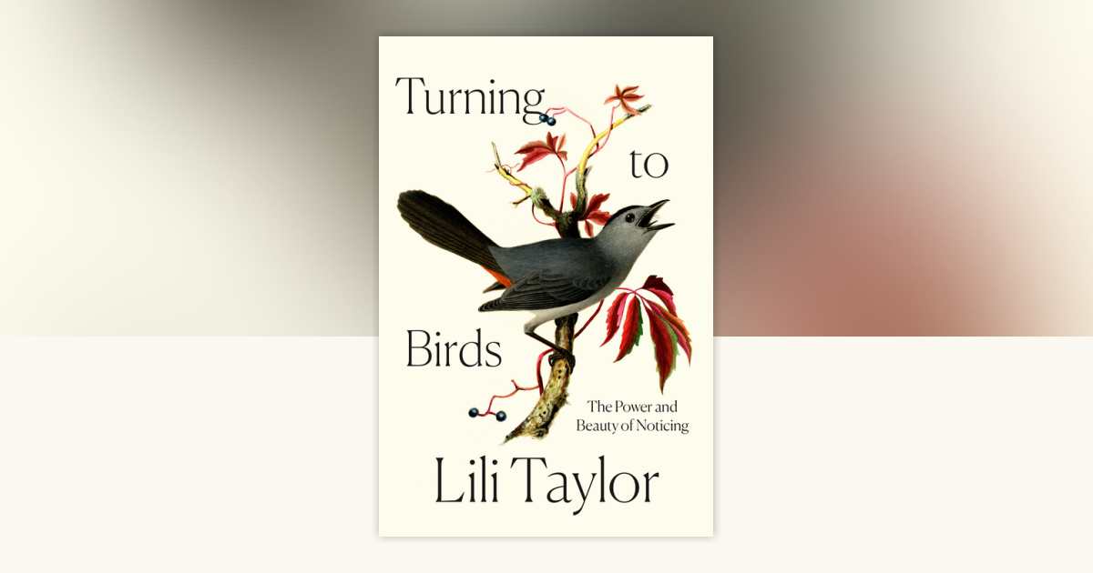Turning to Birds by Lili Taylor: 9780593728574 | PenguinRandomHouse.com ...