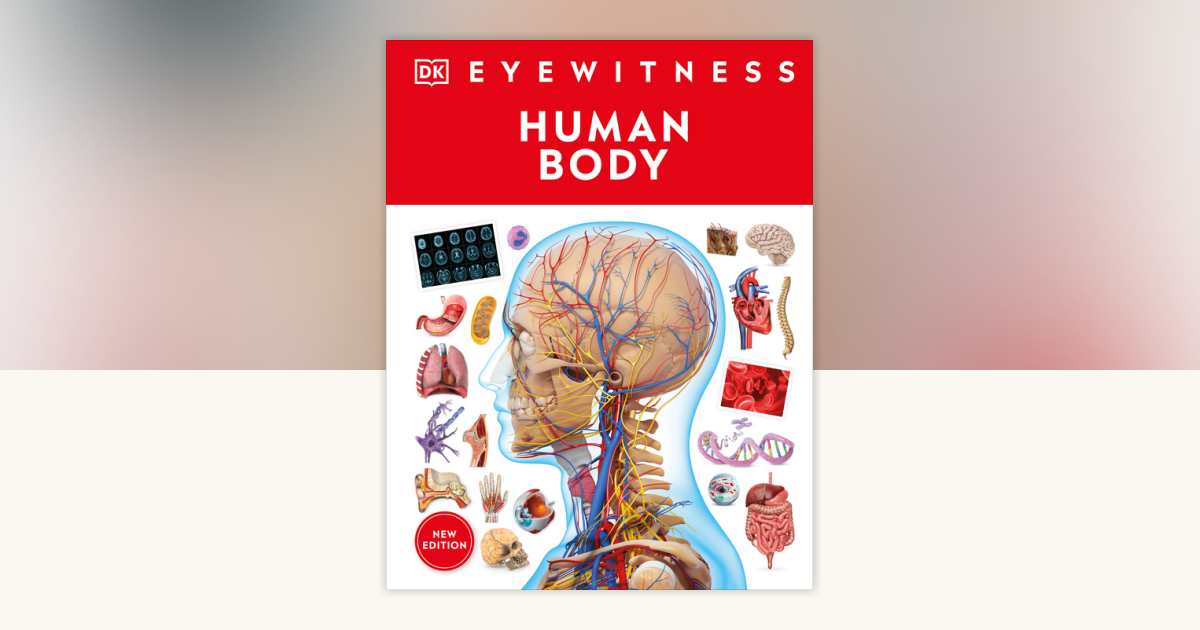 Eyewitness Human Body by DK: 9780744079920 | PenguinRandomHouse.com: Books