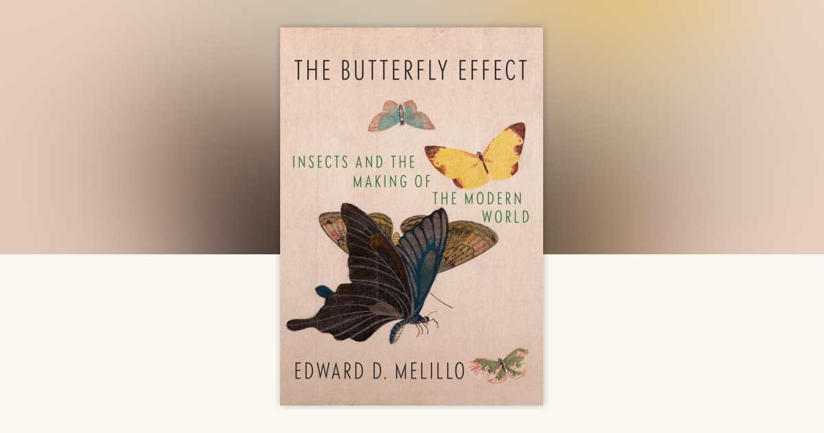 The Butterfly Effect by Edward D. Melillo: 9781524733216 ...