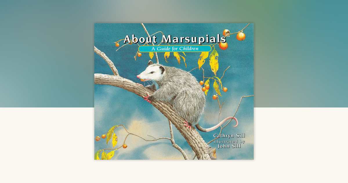 About Marsupials by Cathryn Sill: 9781561454075 | PenguinRandomHouse ...