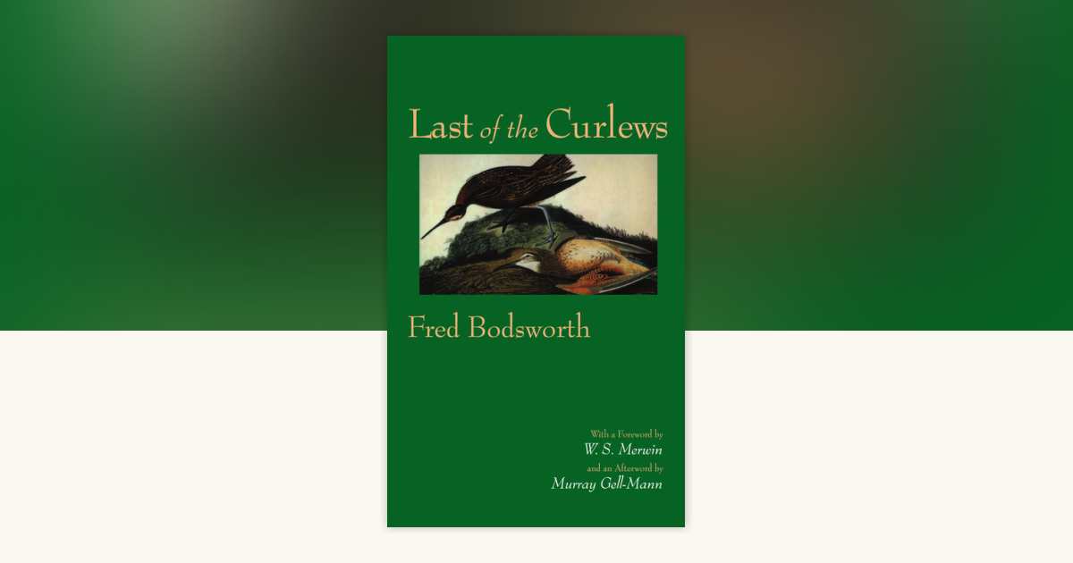 Last of the Curlews by Fred Bodsworth: 9781582437354 ...