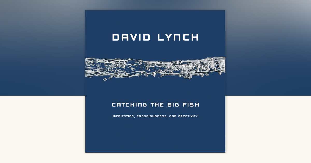 Catching the Big Fish by David Lynch: 9781585425402 ...