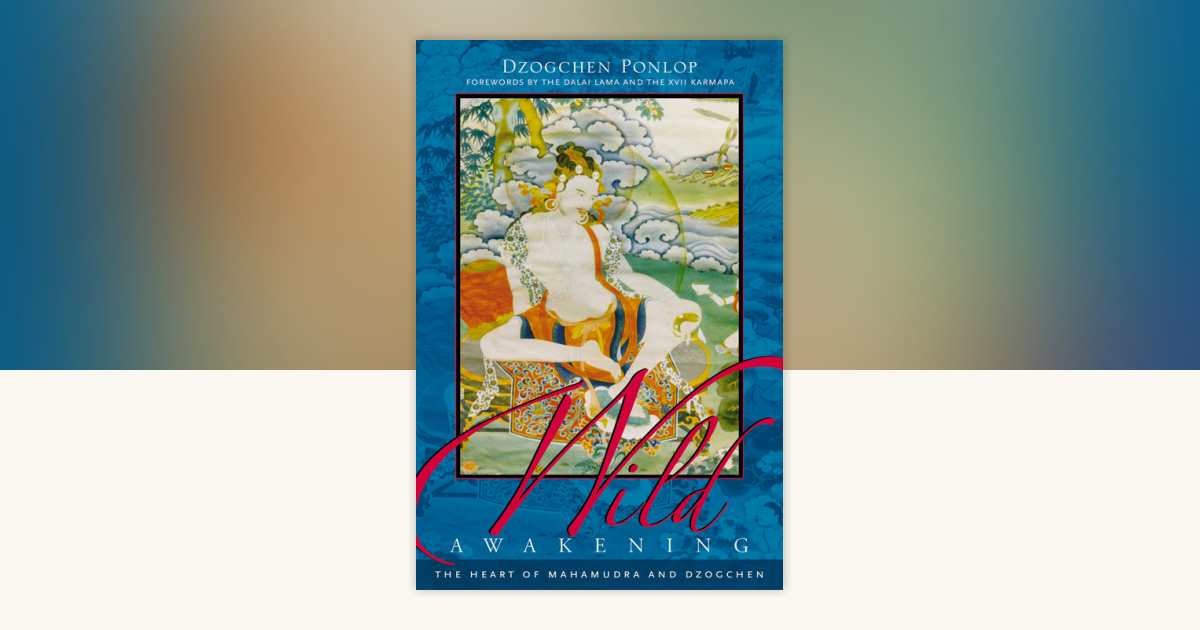 Wild Awakening by Dzogchen Ponlop: 9781590300961 | PenguinRandomHouse ...