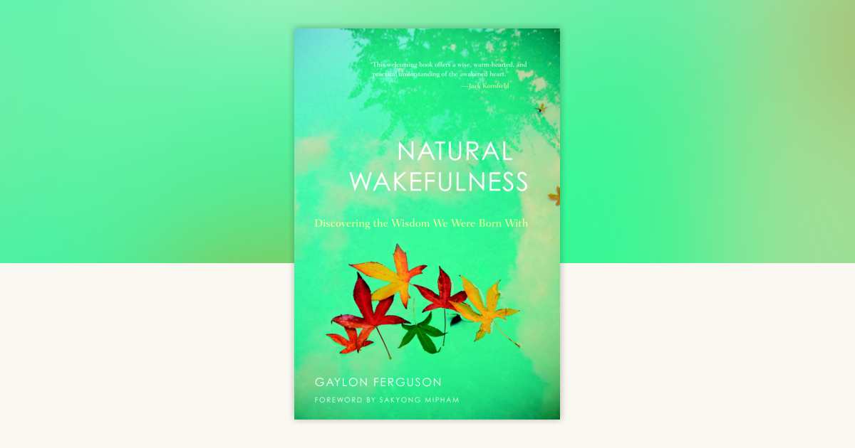 Natural Wakefulness by Gaylon Ferguson: 9781590307694 ...