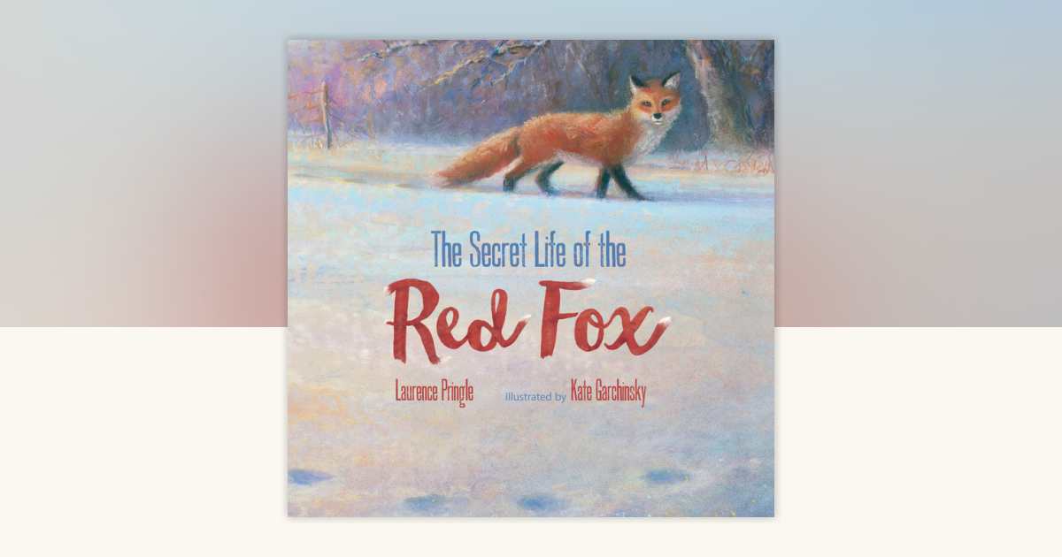 The Secret Life of the Red Fox by Laurence Pringle: 9781629792606 ...