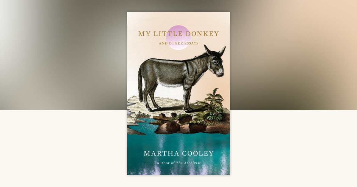My Little Donkey by Martha Cooley: 9781646223022 | PenguinRandomHouse ...