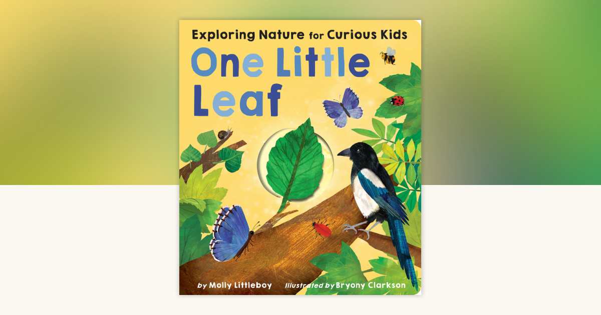 One Little Leaf by Molly Littleboy: 9781664350922 | PenguinRandomHouse ...
