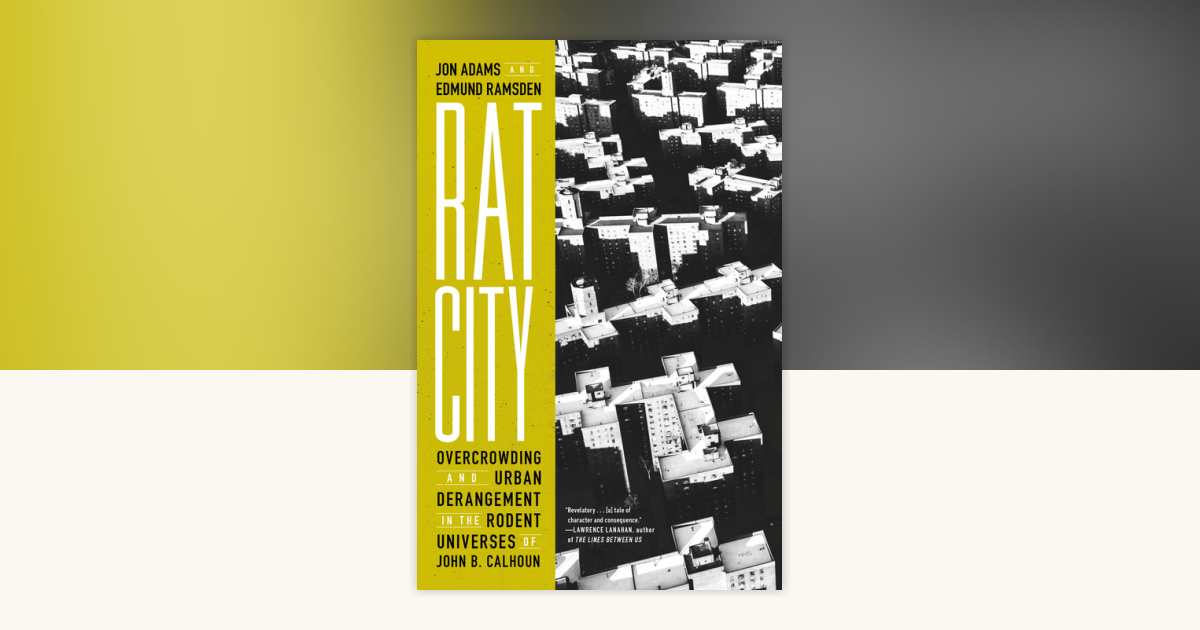 Rat City by Jon Adams, Edmund Ramsden: 9781685890995 ...