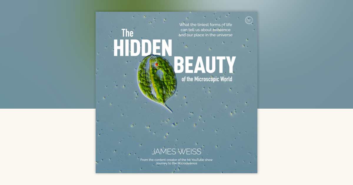 The Hidden Beauty of the Microscopic World by James Weiss ...