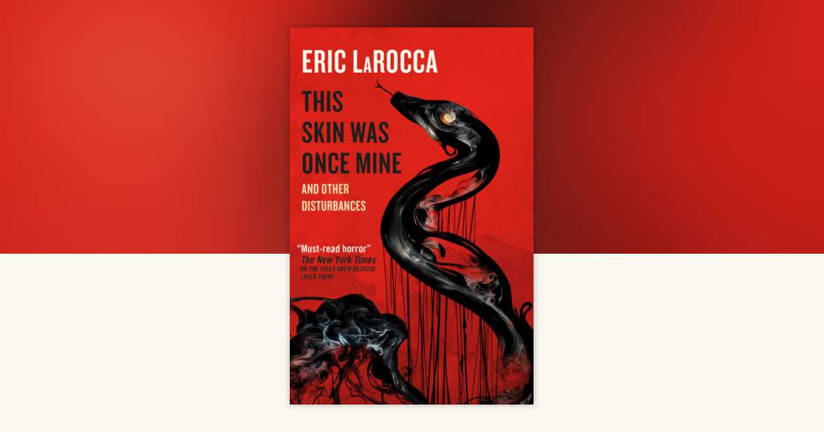 This Skin Was Once Mine and Other Disturbances by Eric LaRocca ...