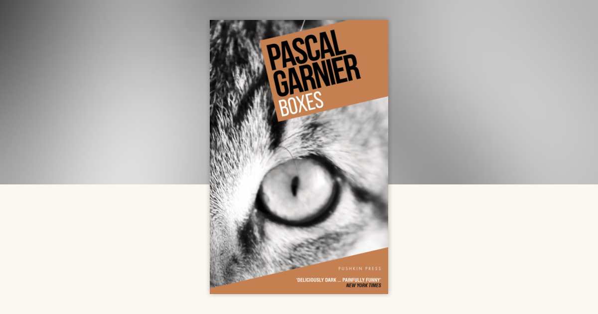 Boxes by Pascal Garnier: 9781805336075 | PenguinRandomHouse.com: Books