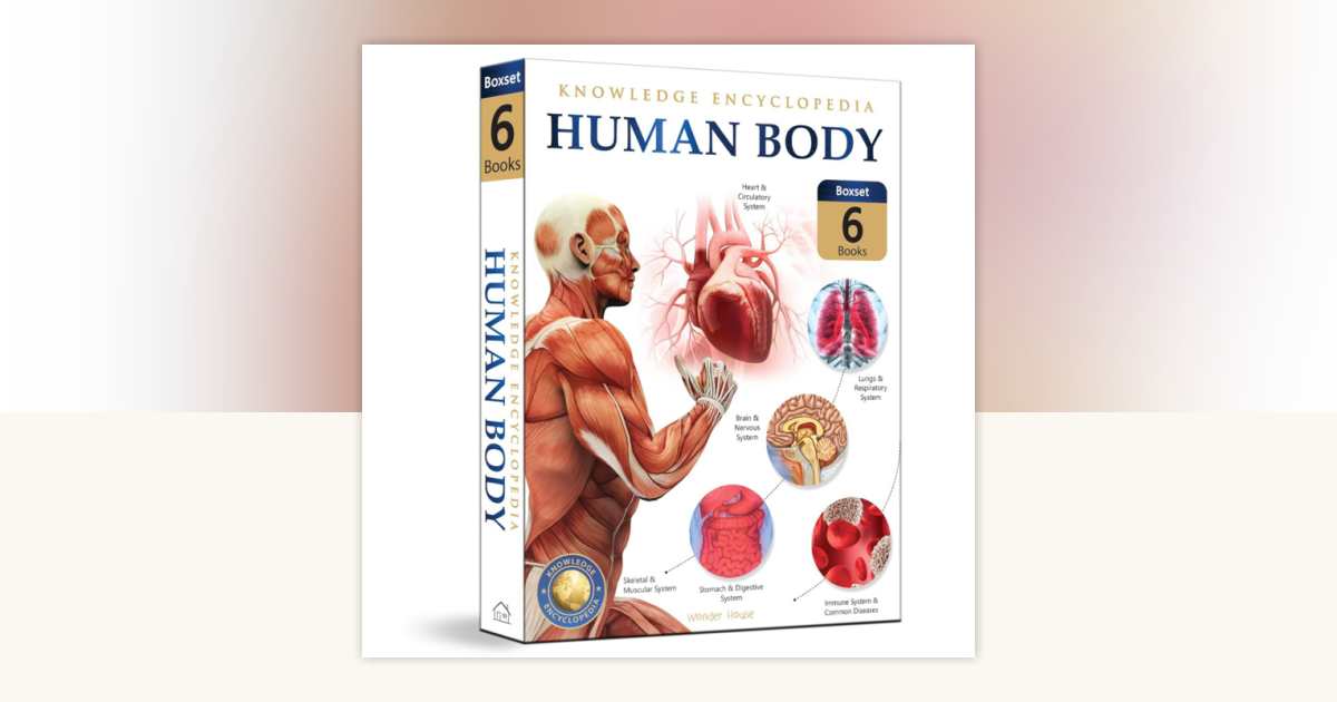 Human Body Box Set: Knowledge Encyclopedia For Children by Wonder House ...